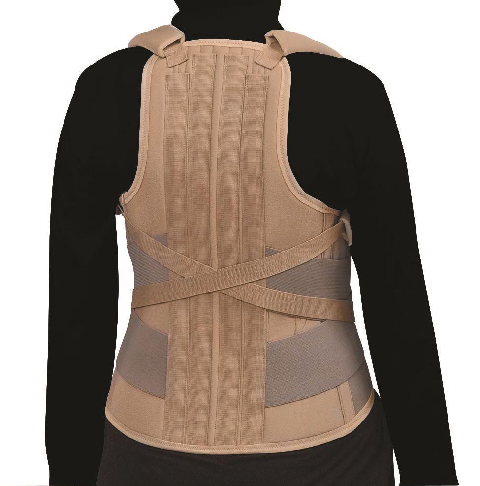 Bone Growth Stimulation DJO Spinalogic CMF Regeneration – SIG Orthopaedic