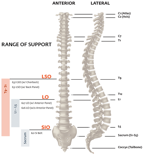 PROCARE Back Support 10" Criss Cross – SIG Orthopaedic